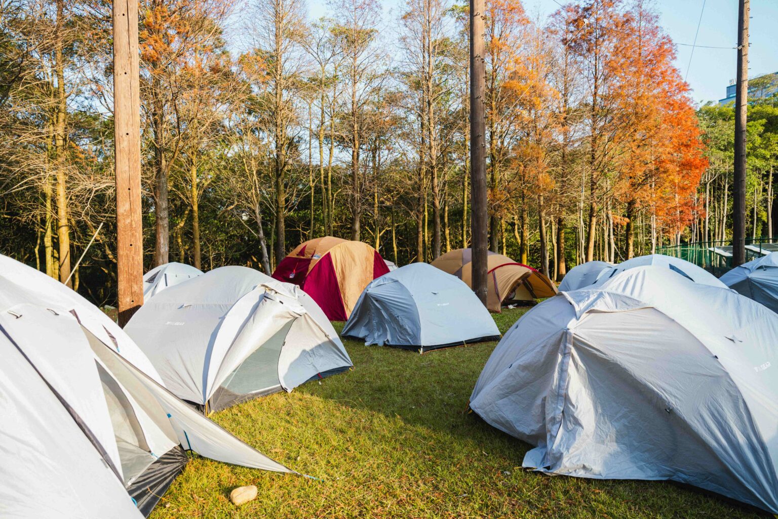 2025台灣外展行動日